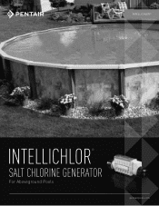 Pentair IntelliChlor Salt Chlorine Generator Manual